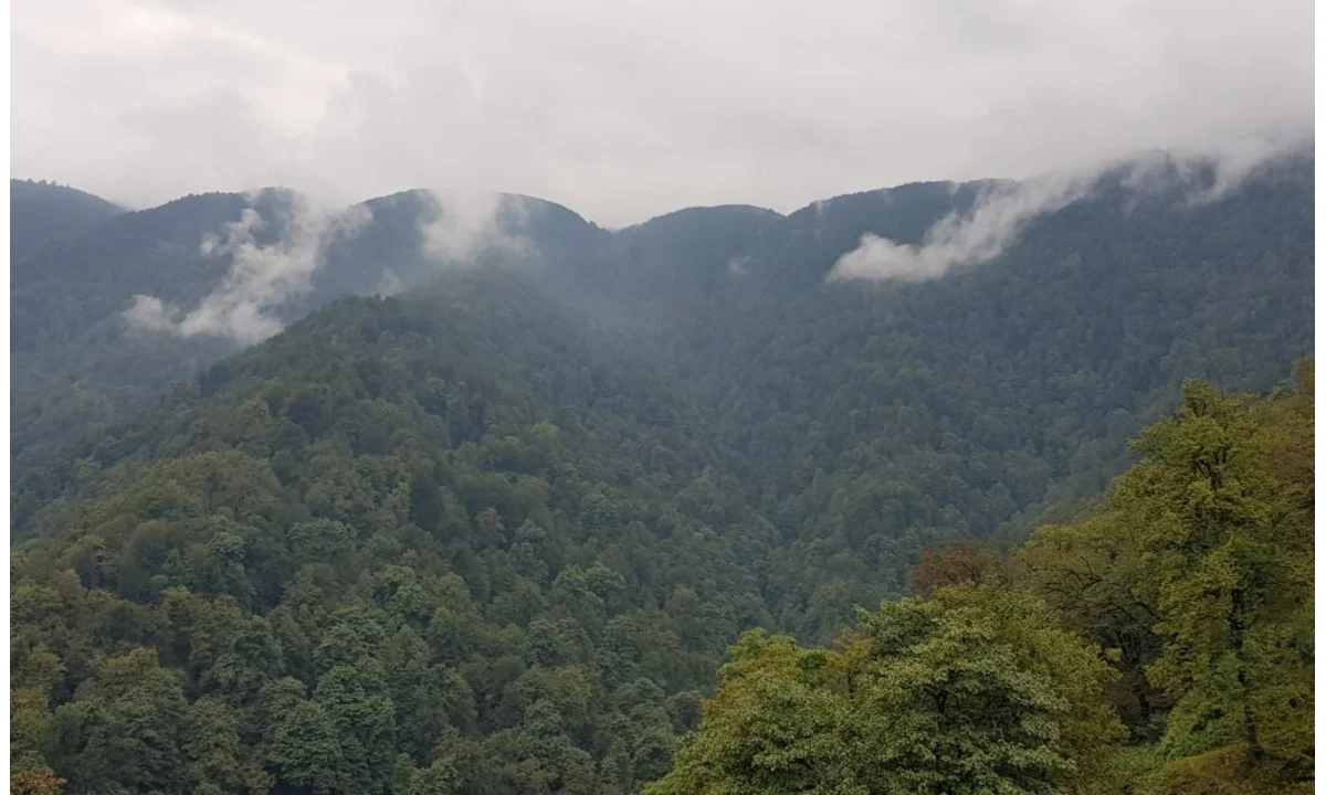 Exploring the Enchanting North of Iran: A Tourist's Guide