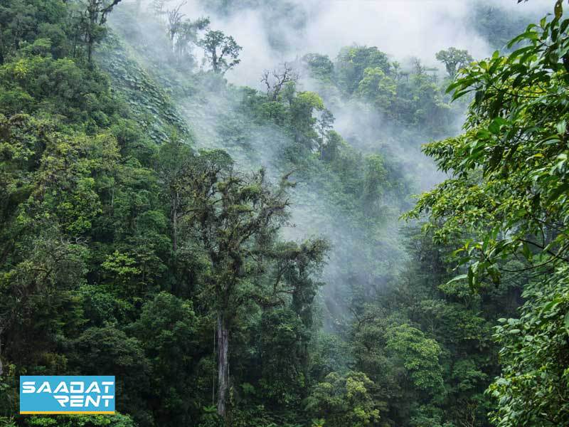 Why should we travel to the cloud forest in autumn?