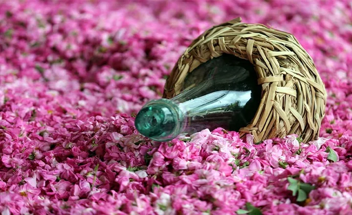 Kashan Rose Water Festival | A Fragrant Delight in Iran