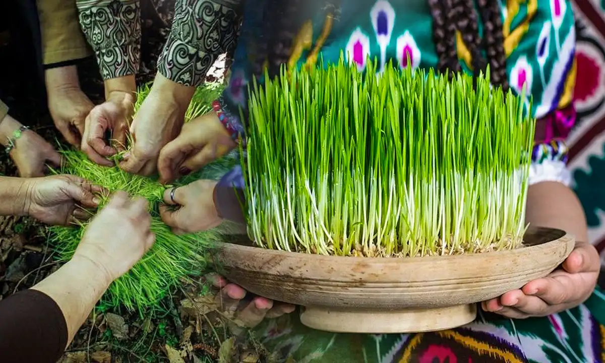 What is the history of Sizdah Bedar? - The Iranian Festivity